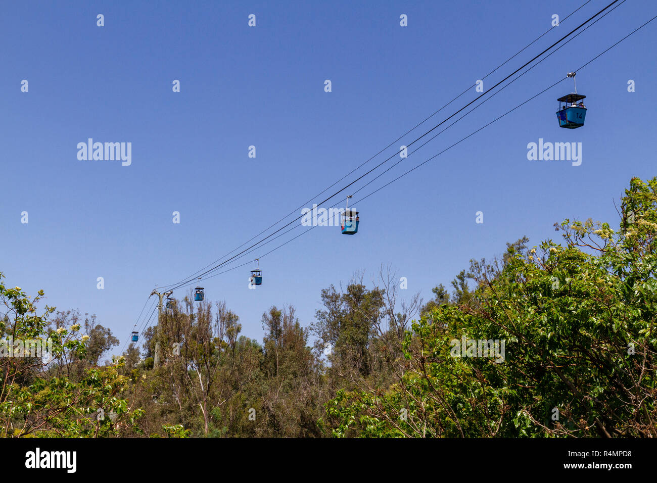 The Skyfari aerial tram in San Diego Zoo, Balboa Park, California ...