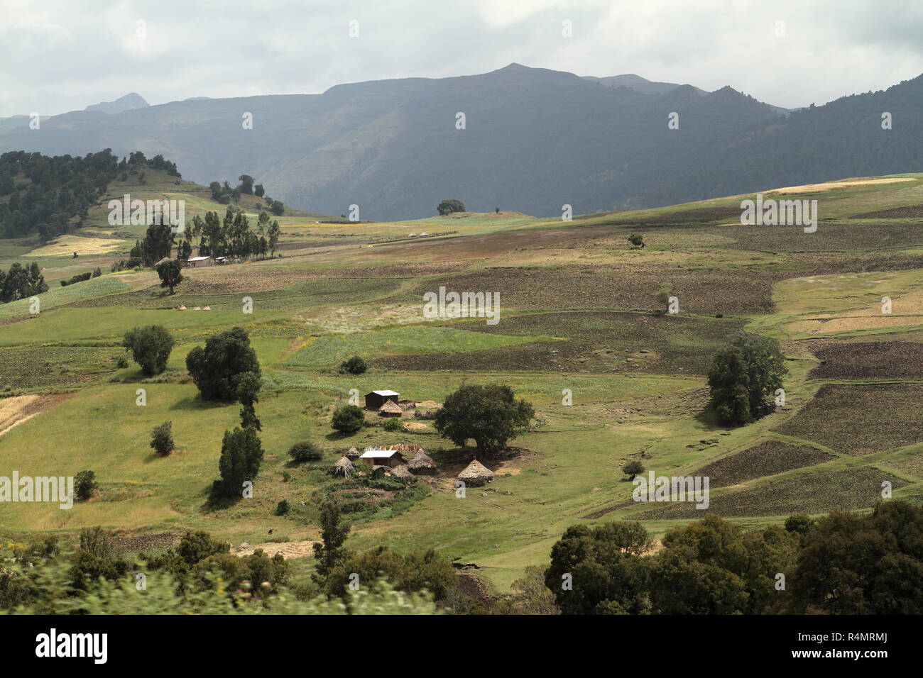 the landscapes of the bale mountains in ethiopia Stock Photo - Alamy