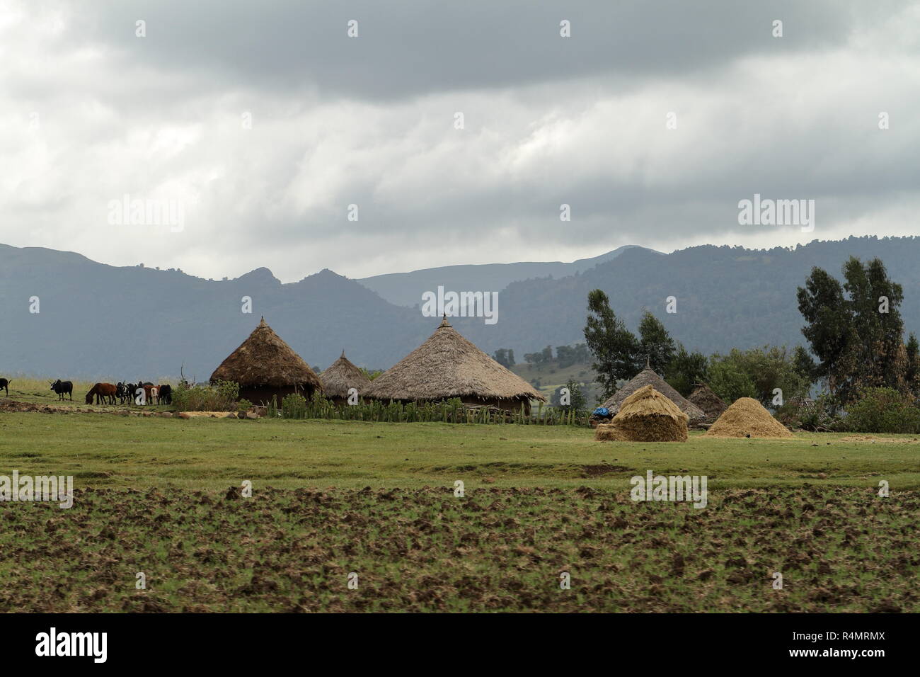 the landscapes of the bale mountains in ethiopia Stock Photo - Alamy