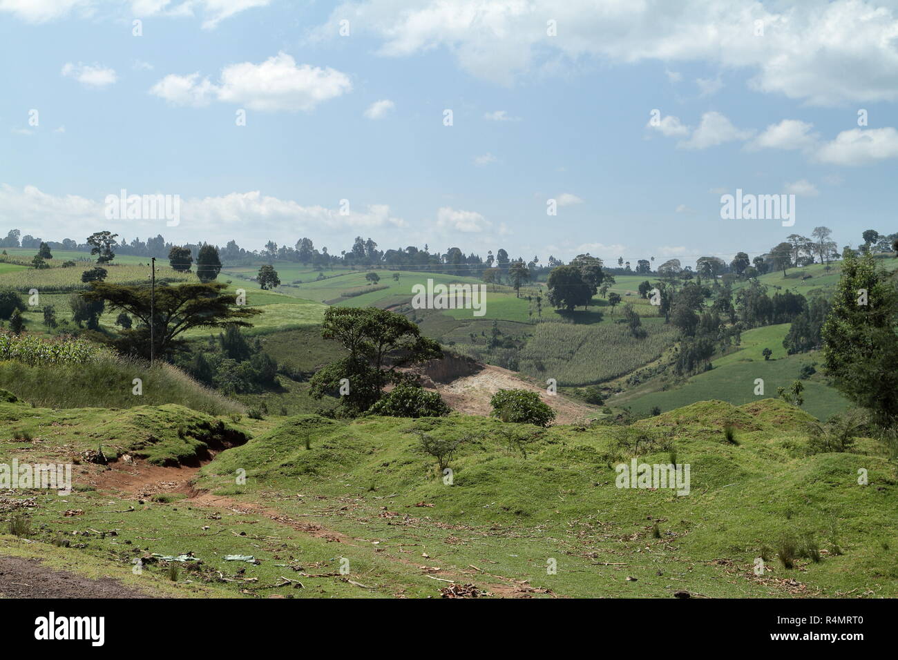 the landscapes of the bale mountains in ethiopia Stock Photo - Alamy