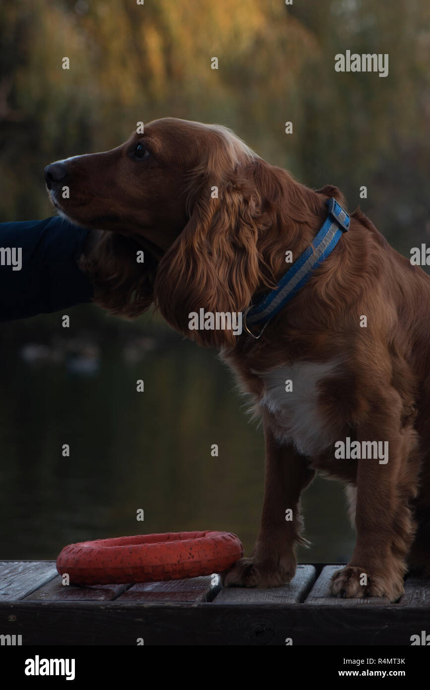 Large parapet hi-res stock photography and images - Alamy