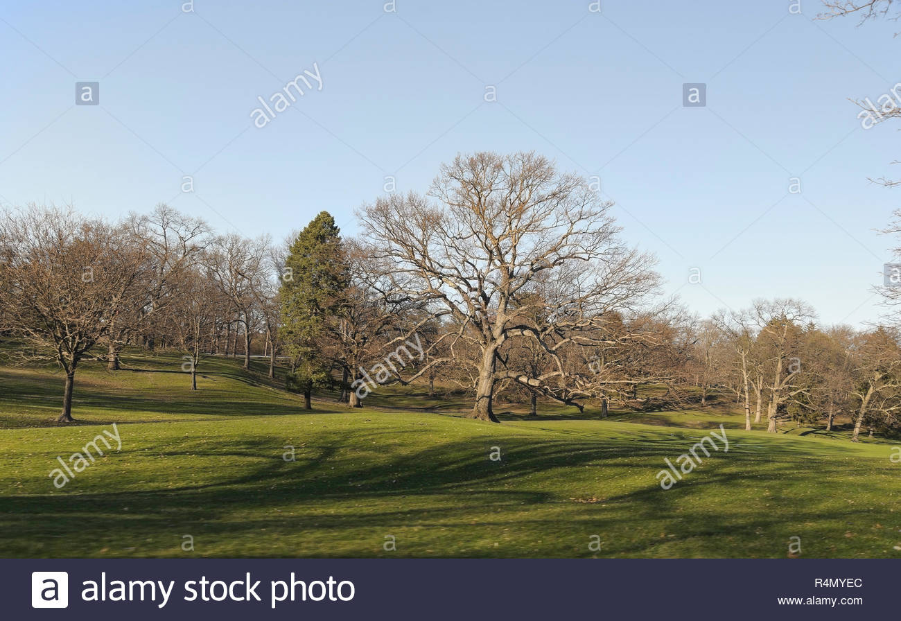 Rolling Terrain High Resolution Stock Photography and Images - Alamy