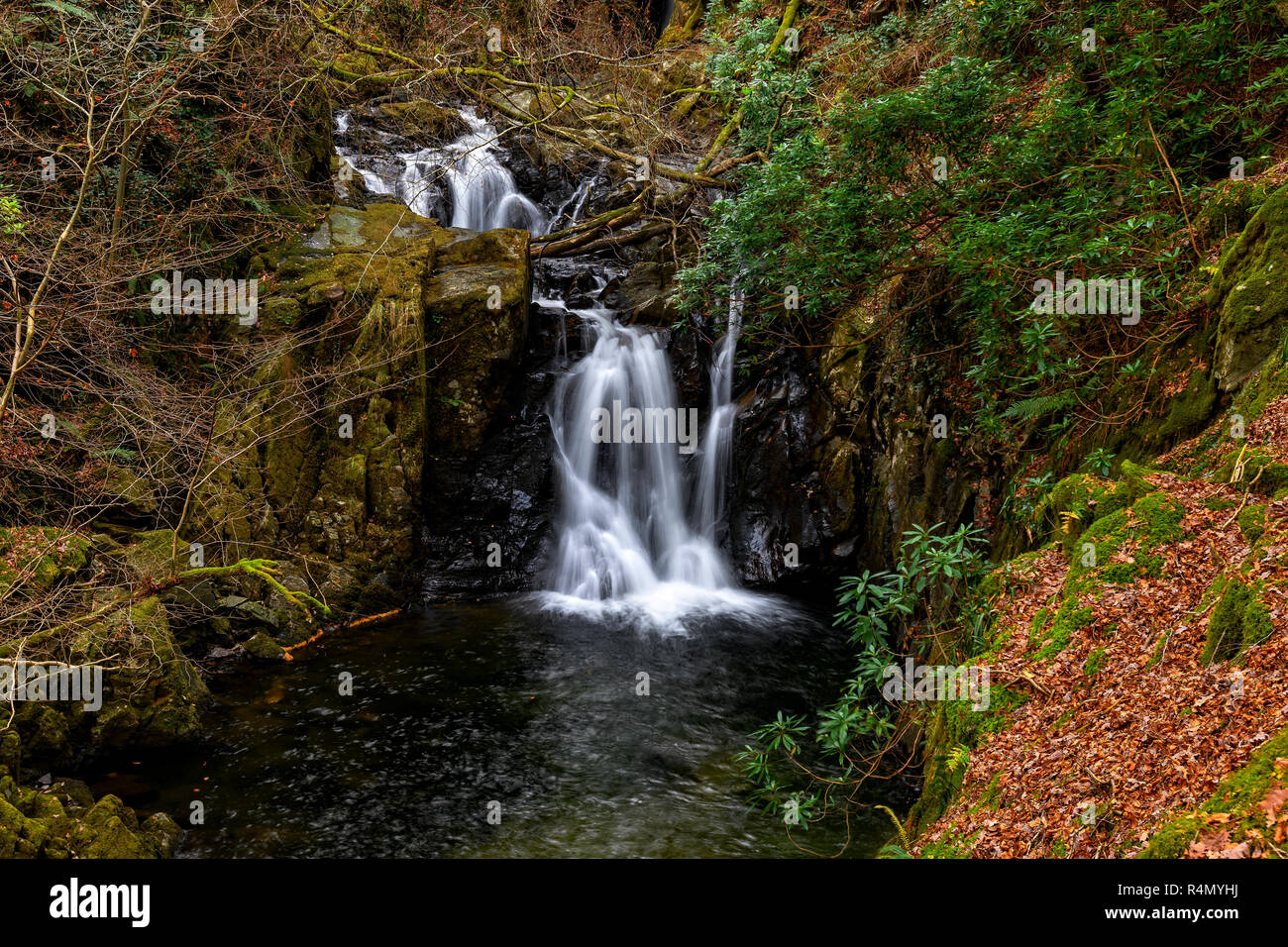 High Falls on Rydal Beck in the grounds of Rydal Hall near Ambleside ...