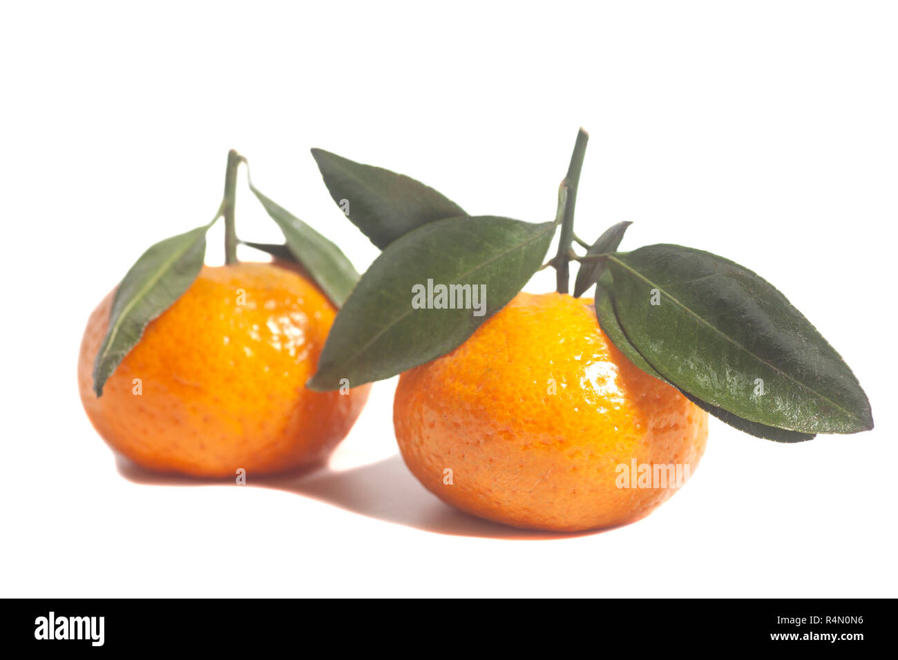 Ripe mandarins with green leaves Isolated on white background Stock ...