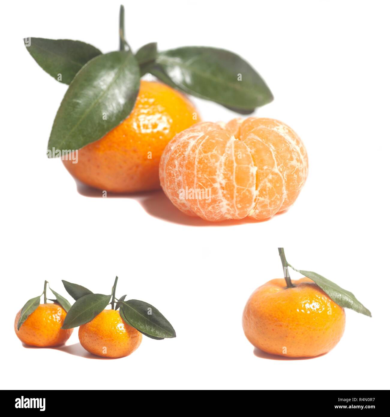 Ripe mandarins with green leaves isolated on white background Stock ...