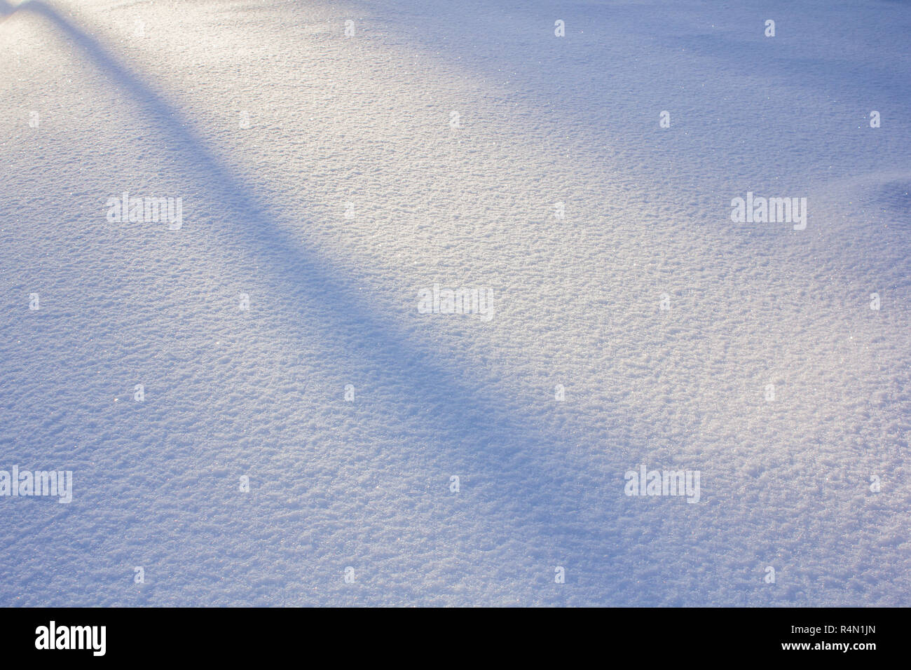 Snow texture White background. Cold texture and background. Winter ...