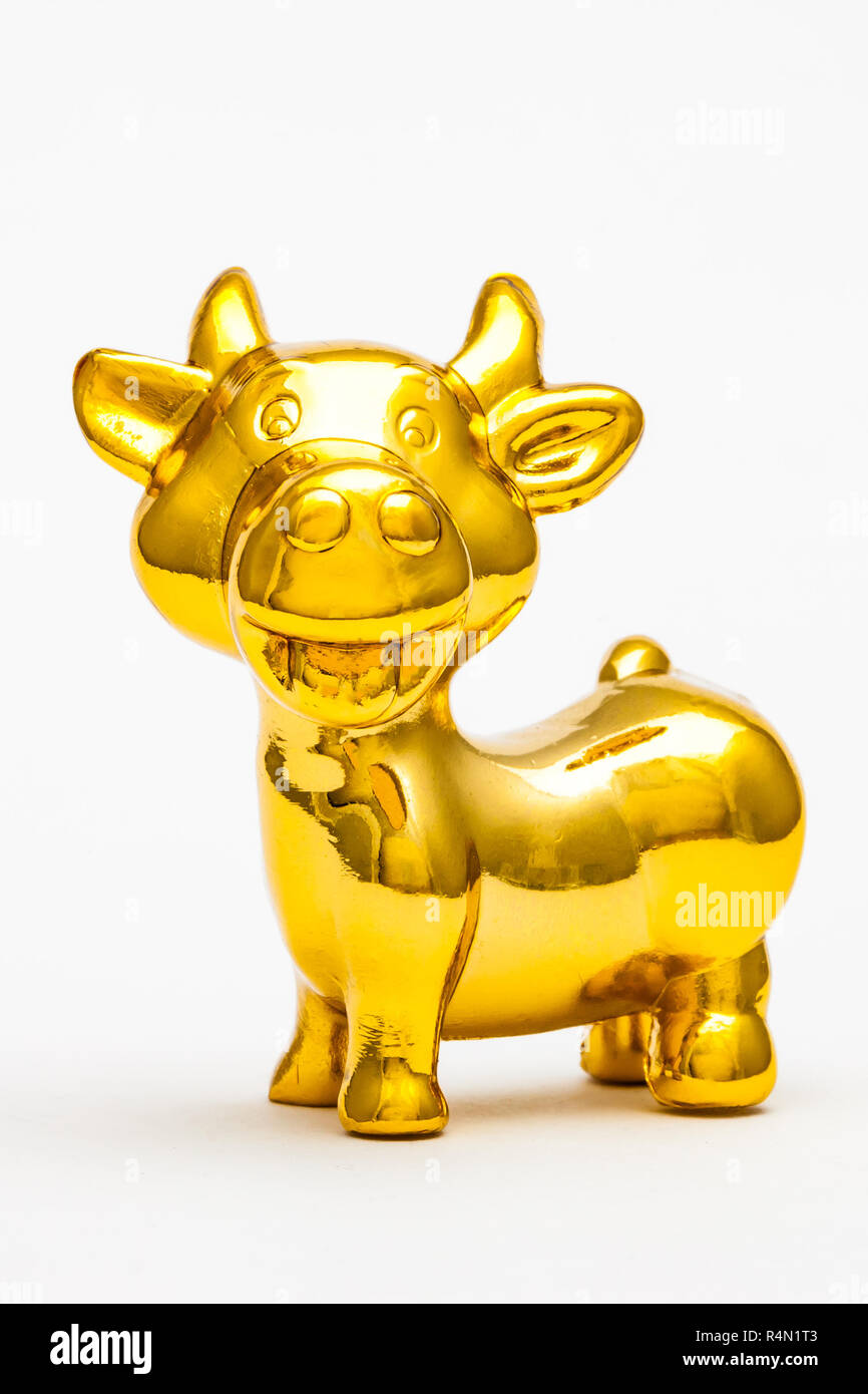 Chinese yellow cow isolated hi-res stock photography and images - Alamy