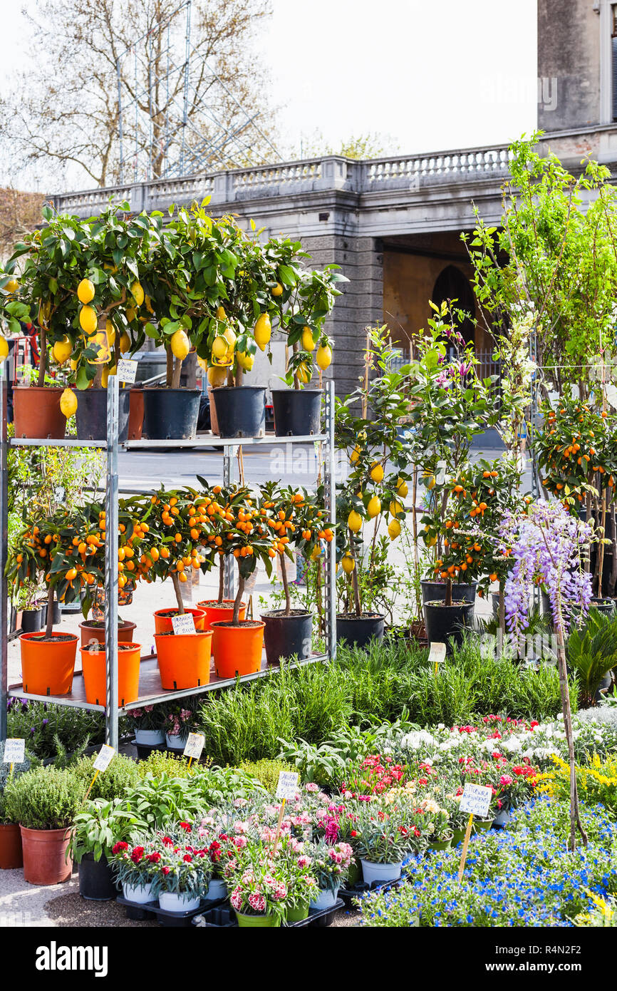 Fruit stall countryside italy hi-res stock photography and images - Alamy