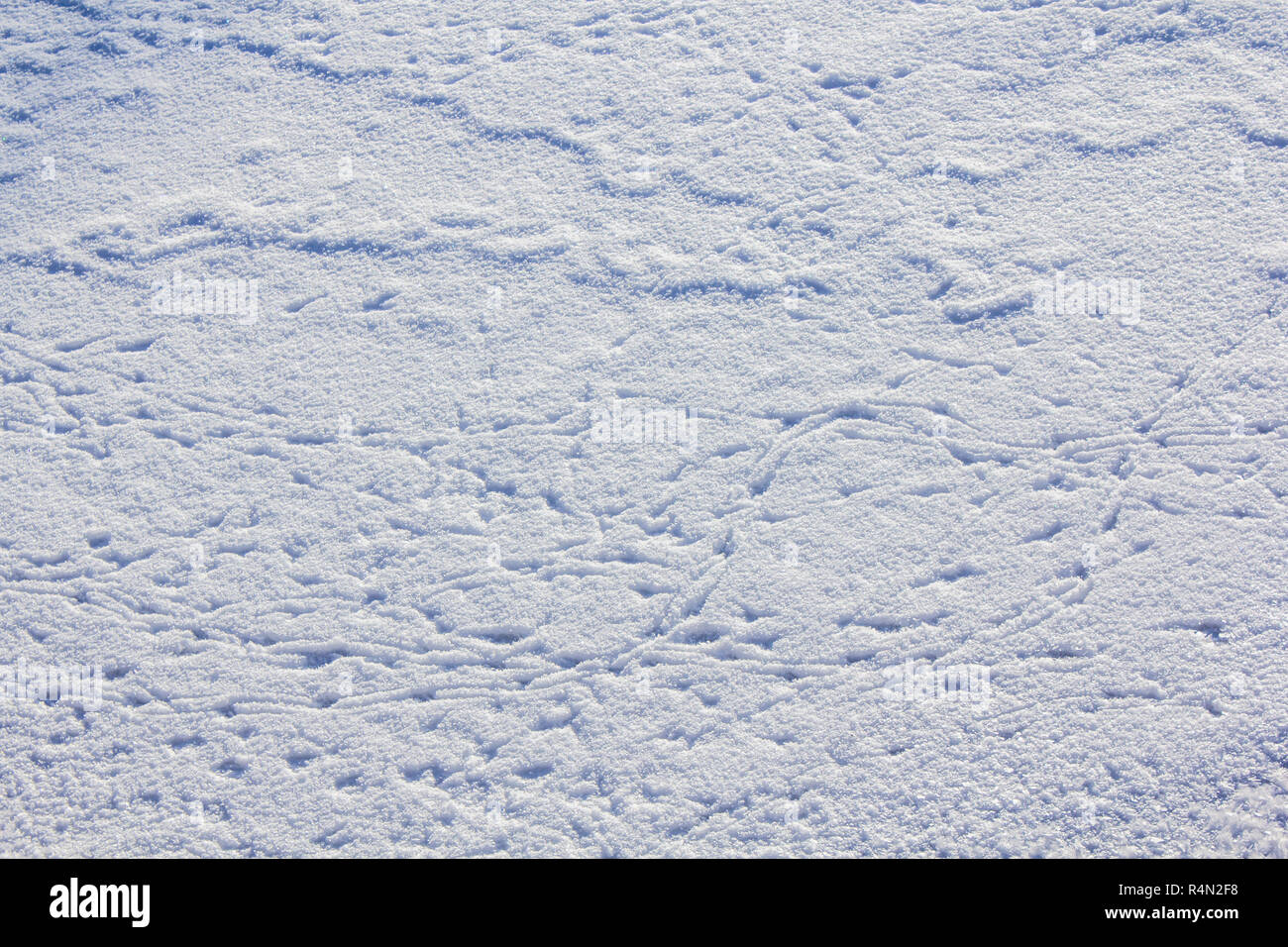 Snow texture White background. Cold texture and background. Winter ...