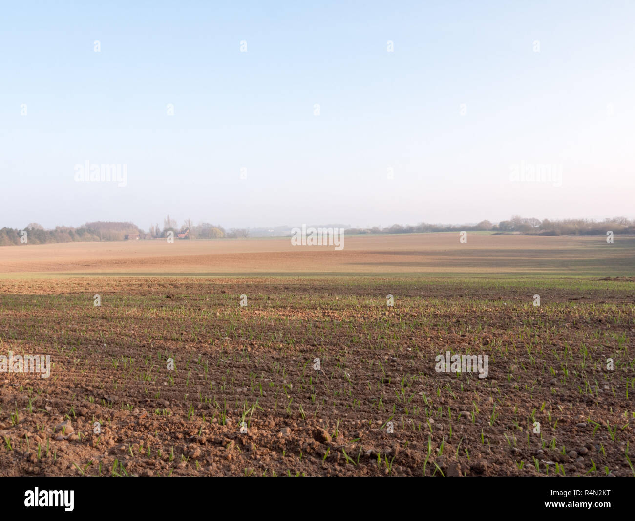 Quartz fields hi-res stock photography and images - Alamy