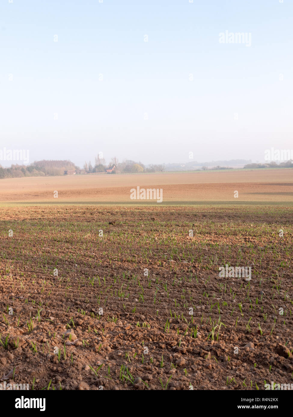 Brown Farm Fields in Spring Stock Photo - Alamy