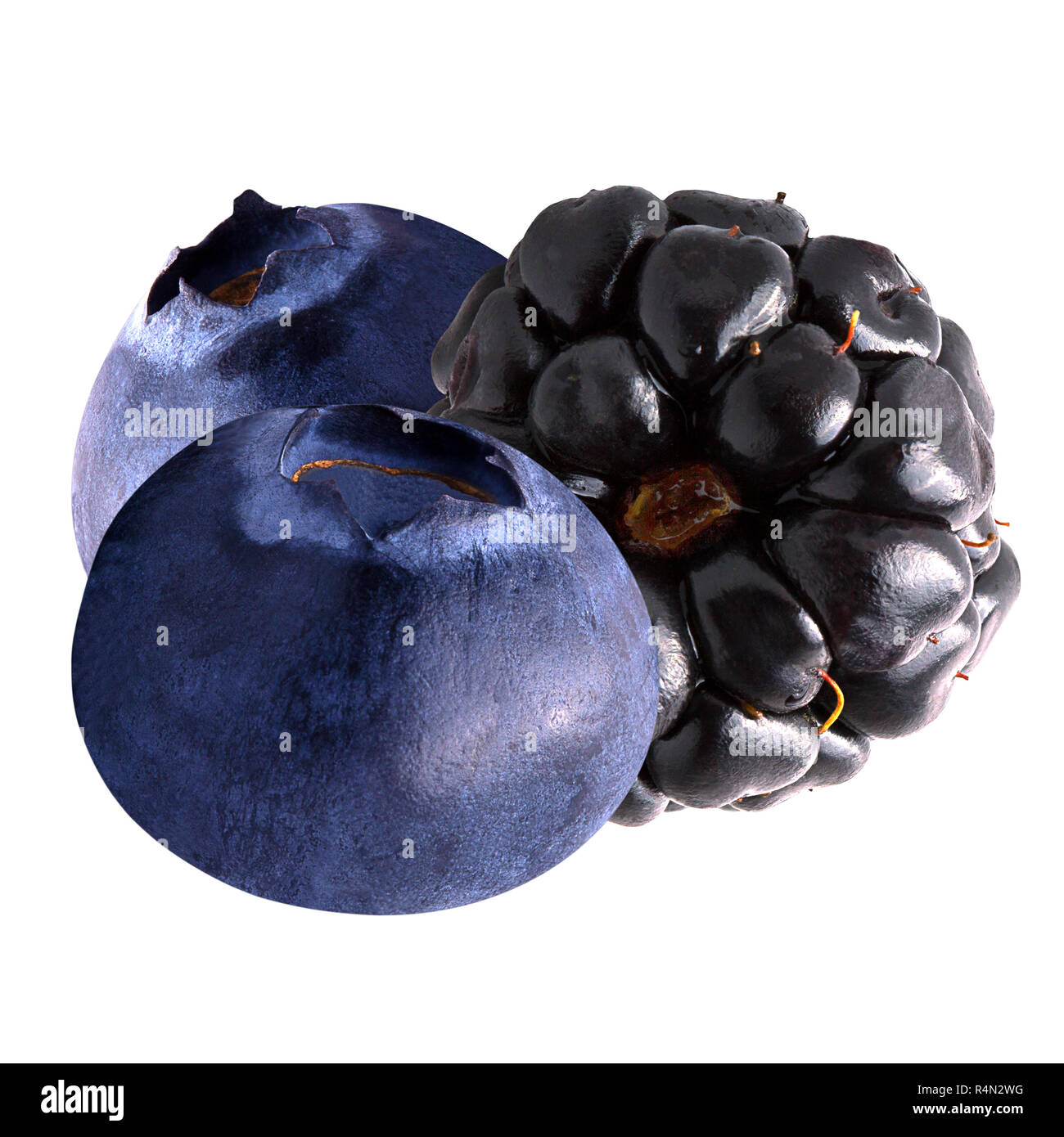 Isolated blueberry and blackberry Stock Photo - Alamy
