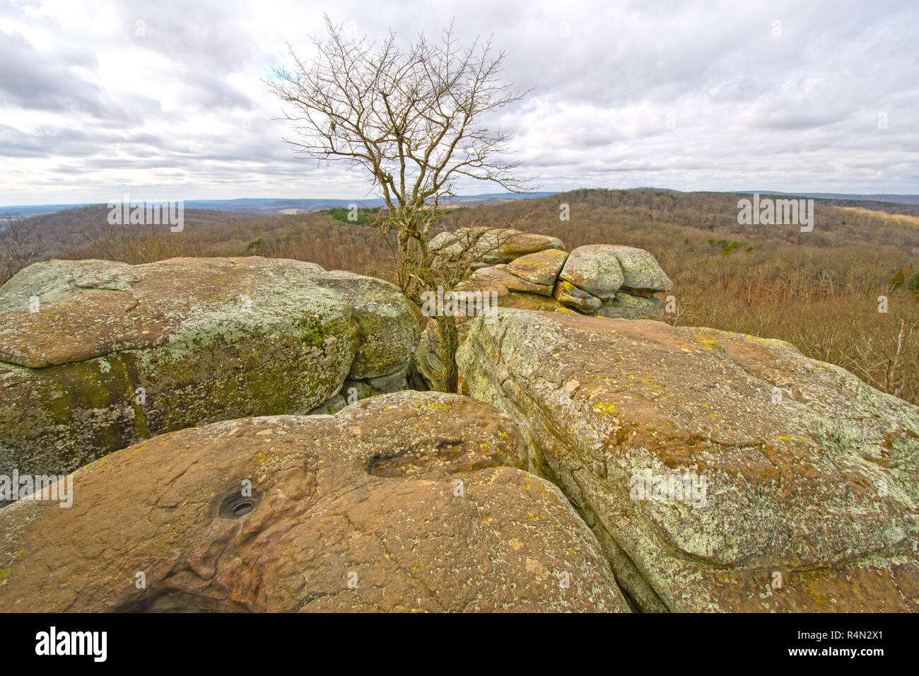 Lone Tree in the Rocks Stock Photo - Alamy