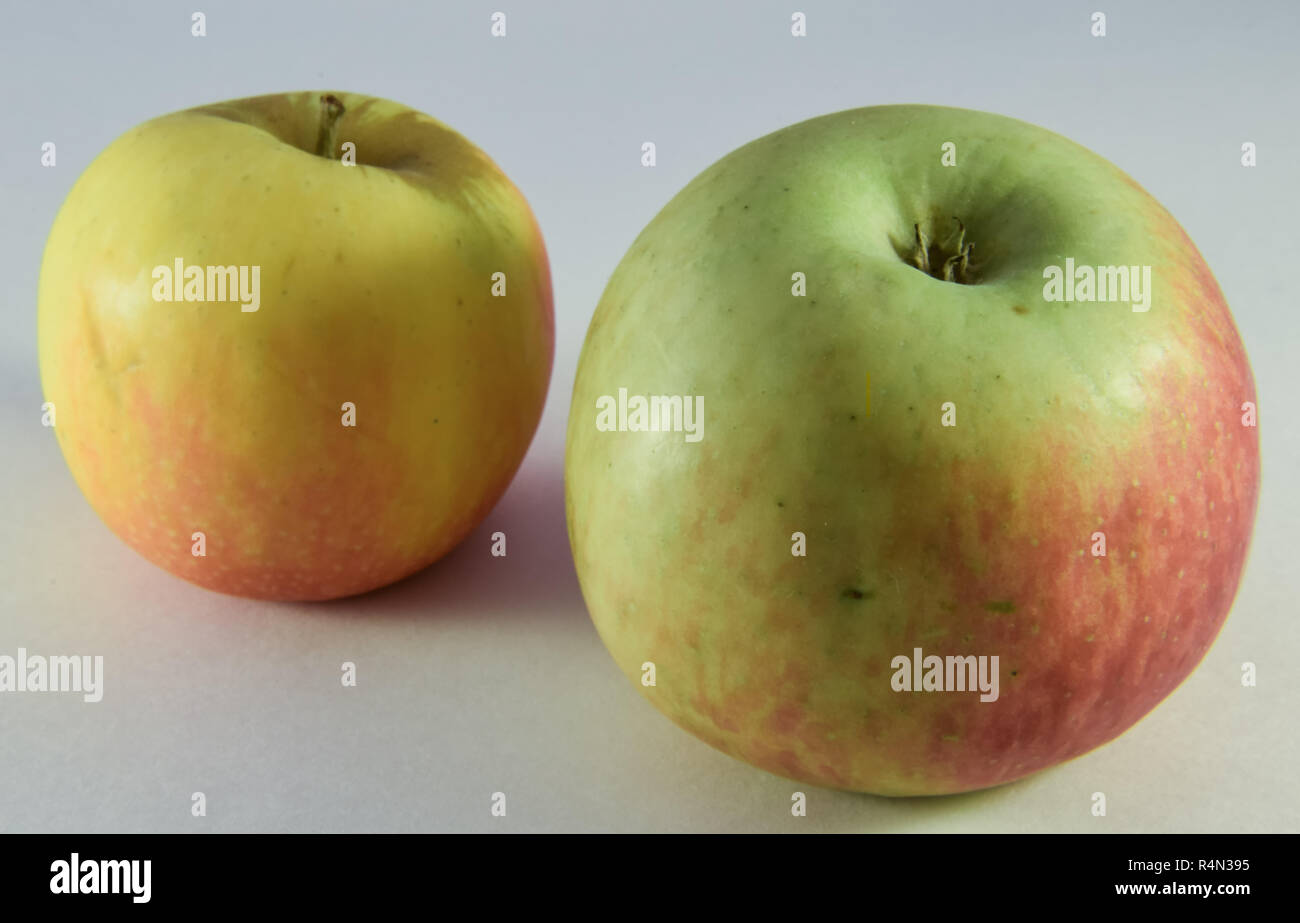 A pair of edible apples, green and red Stock Photo - Alamy