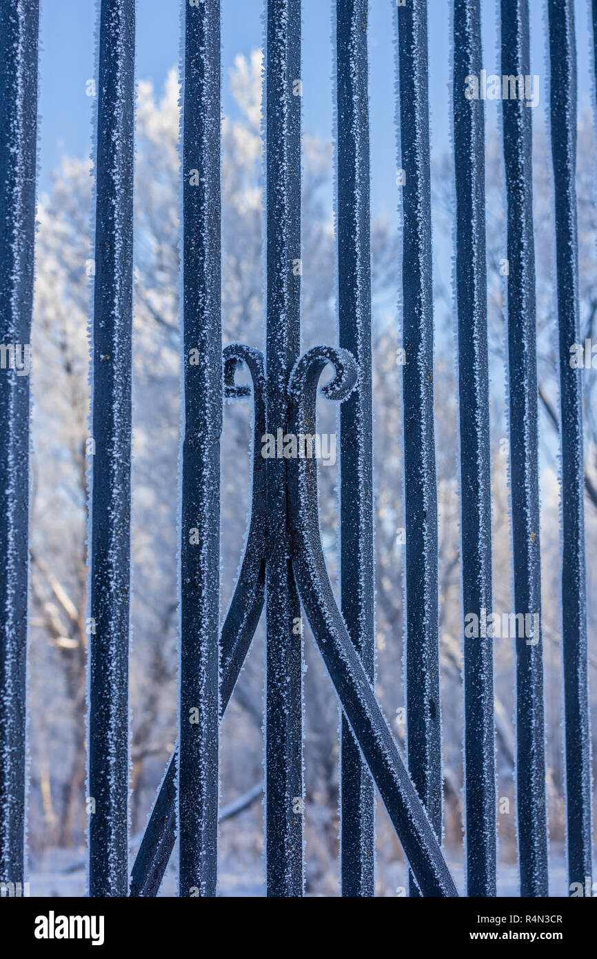 Frozen fence. Snow on a cold fence. Winter picture. Iron fence Stock ...