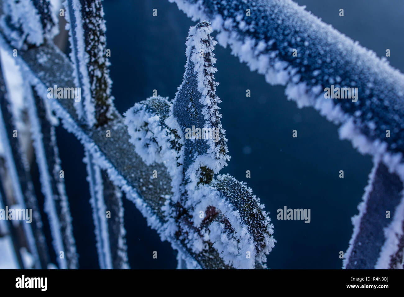 Frozen fence. Snow on a cold fence. Winter picture. Iron fence Stock ...