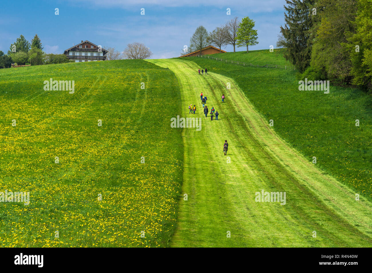 hiking with children in the foothills of the alps Stock Photo - Alamy