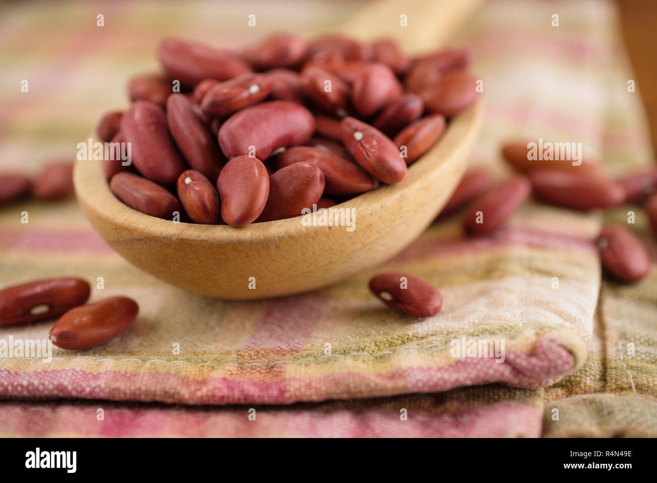Image of kidney hi-res stock photography and images - Alamy