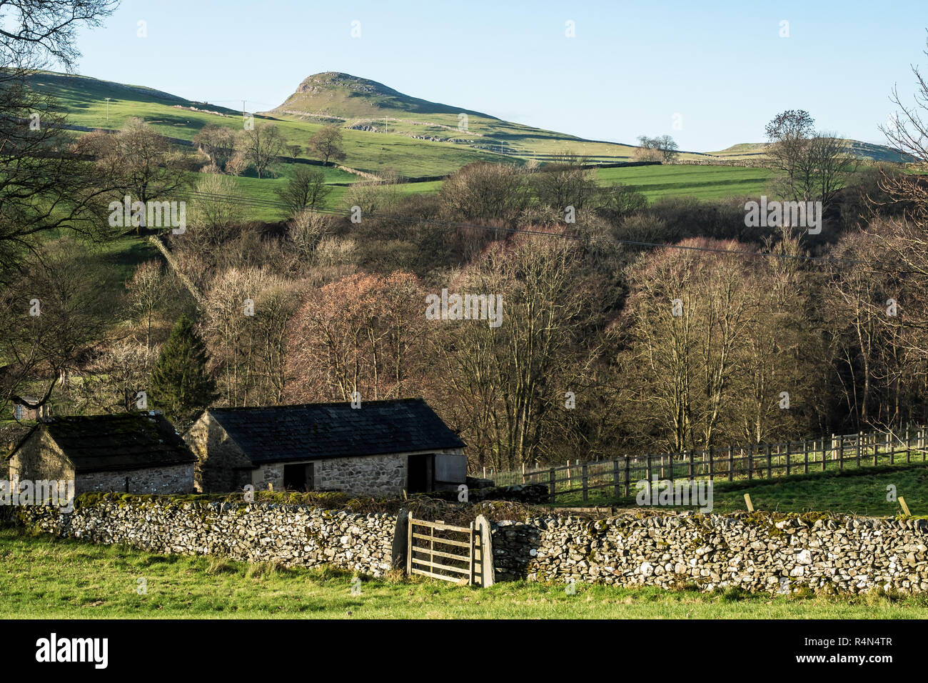 Settle in the Yorkshire Dales with a female hill walker near to the ...