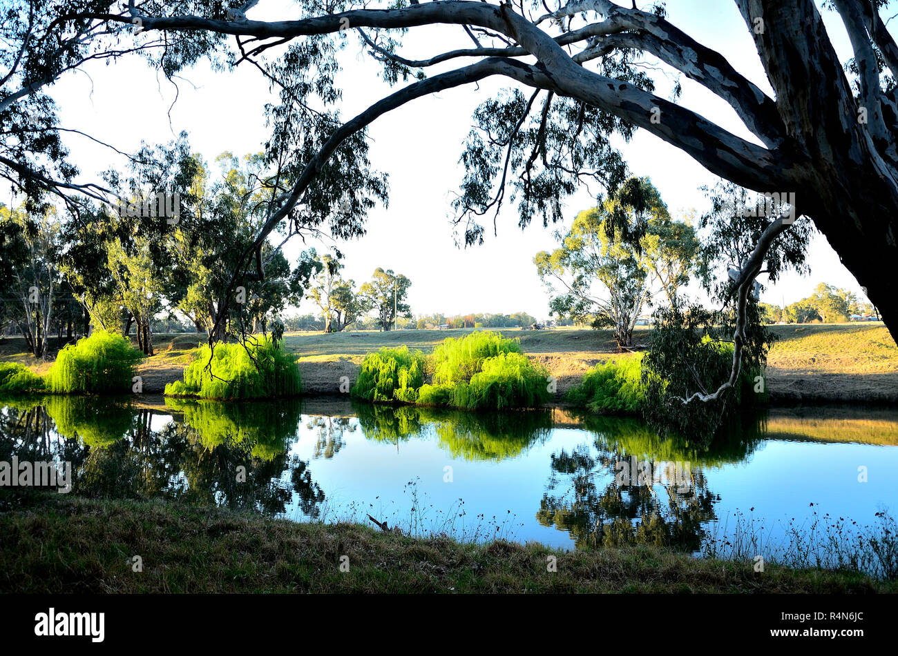 Trees water reflection on a river Stock Photo - Alamy