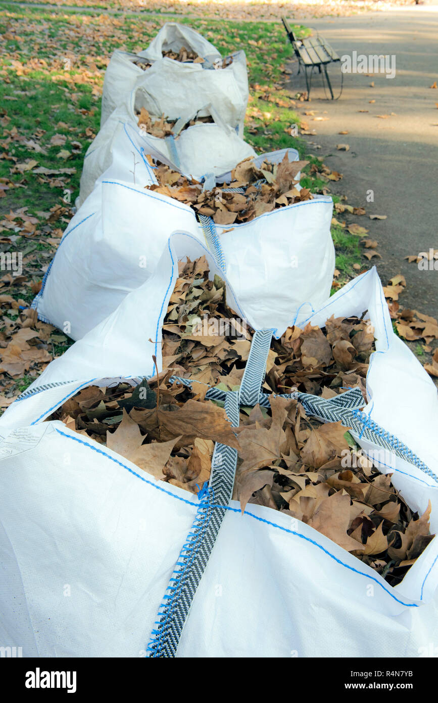 Bags Of Leaves High Resolution Stock Photography and Images - Alamy