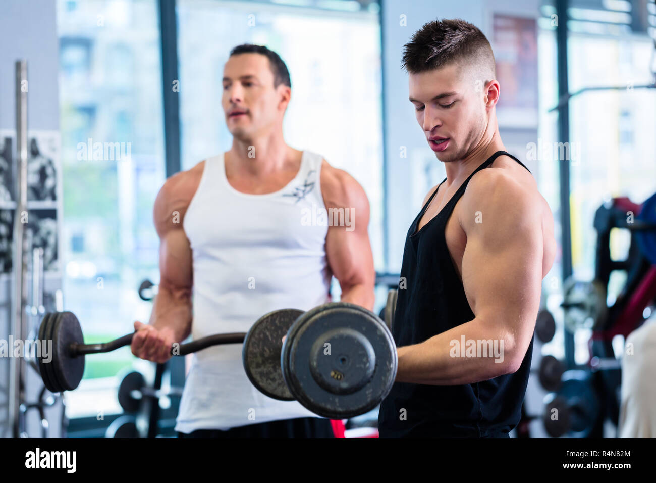 Friends lifting weights for sport in fitness gym Stock Photo - Alamy