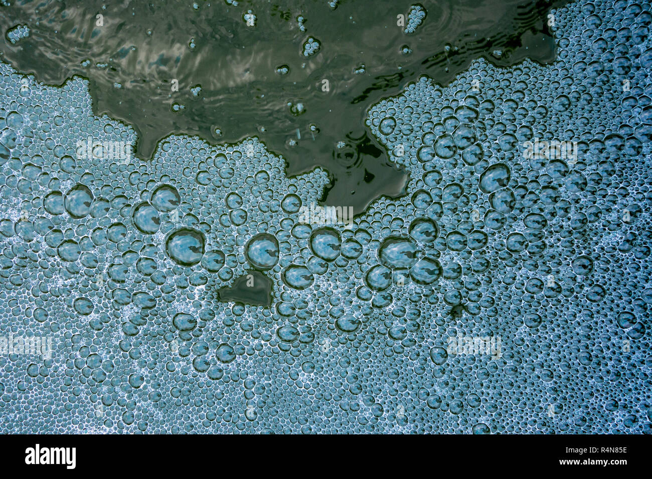 Cluster of bubbles made by a water fountain in an English garden pond ...