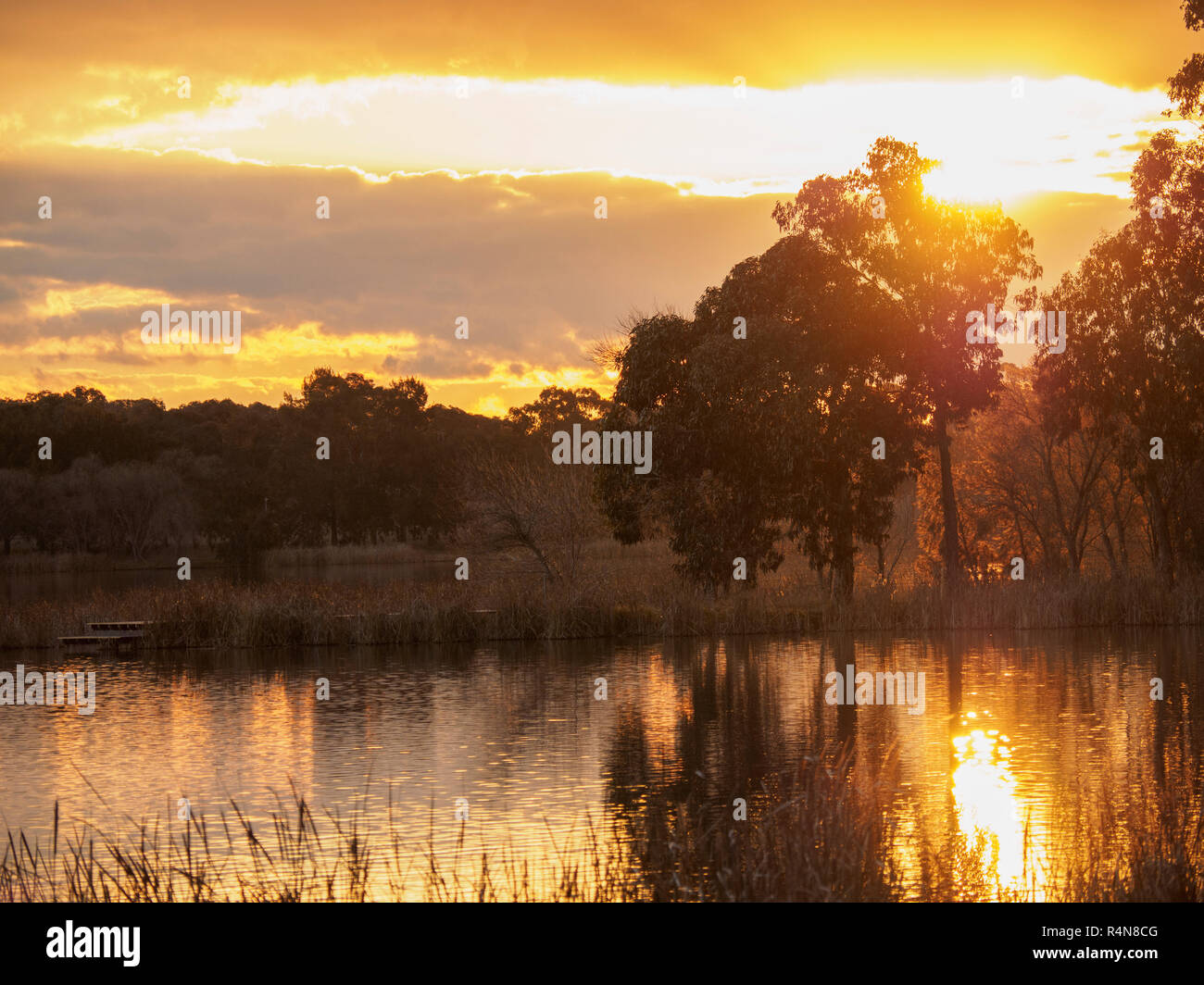 Tree at sunset image hi-res stock photography and images - Alamy