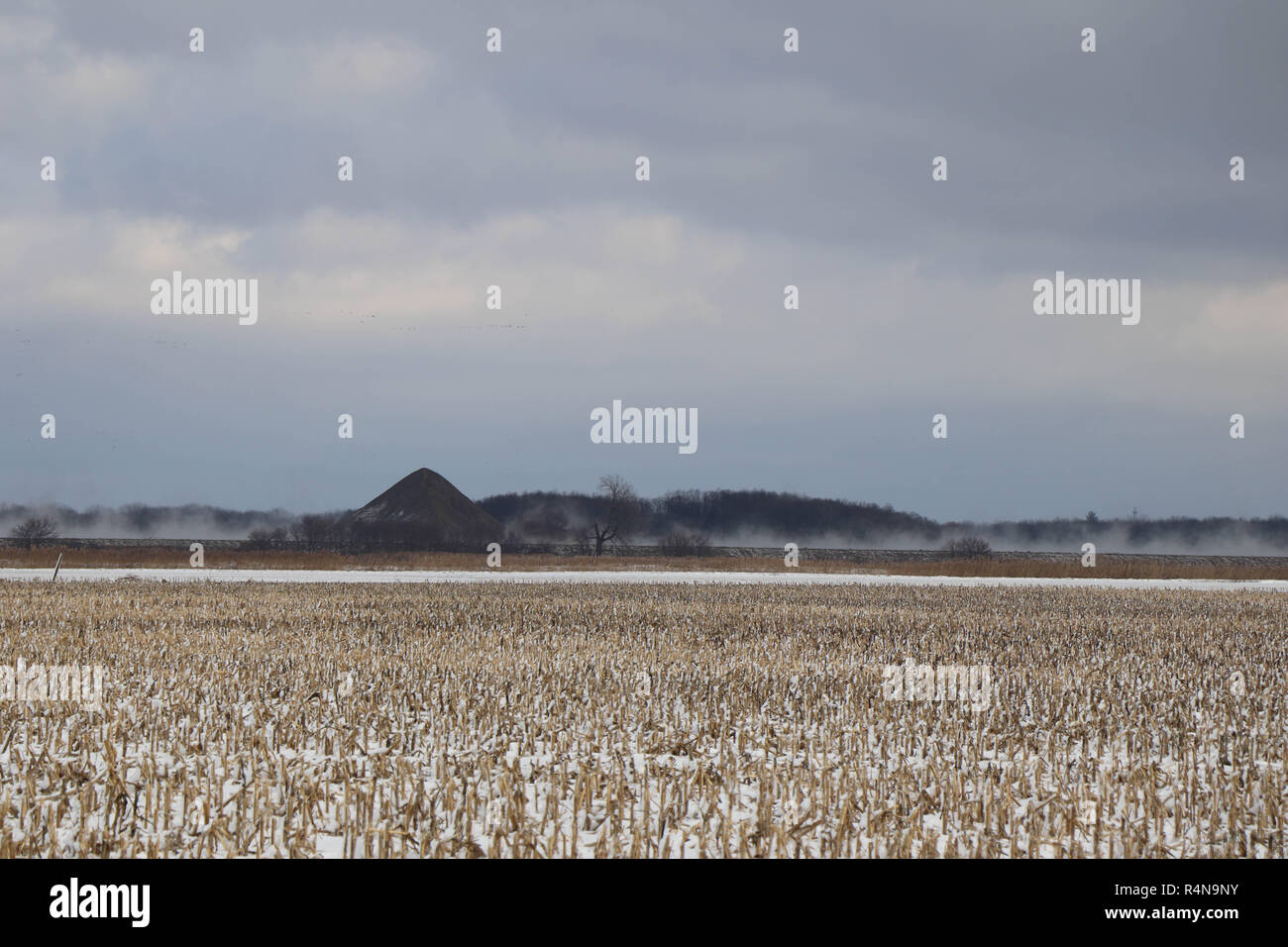 Frozen corn field hi-res stock photography and images - Alamy