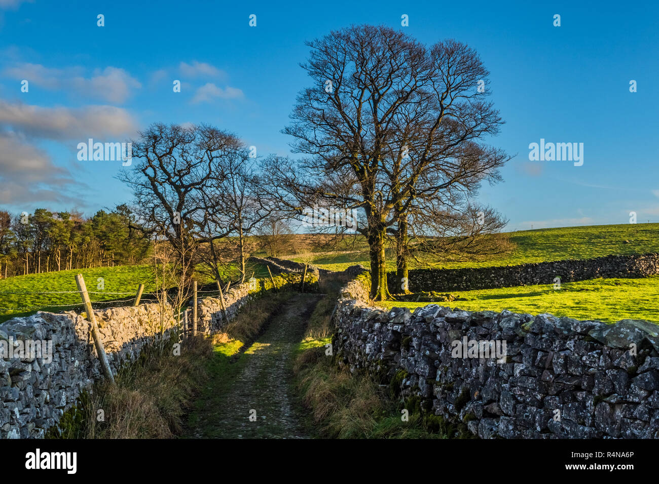 Settle in the Yorkshire Dales with a female hill walker near to the ...