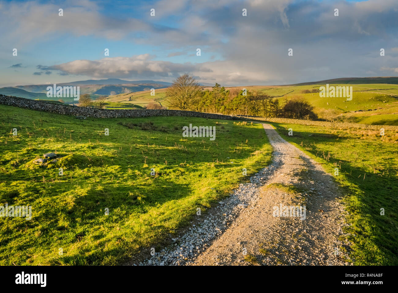 Settle in the Yorkshire Dales with a female hill walker near to the ...