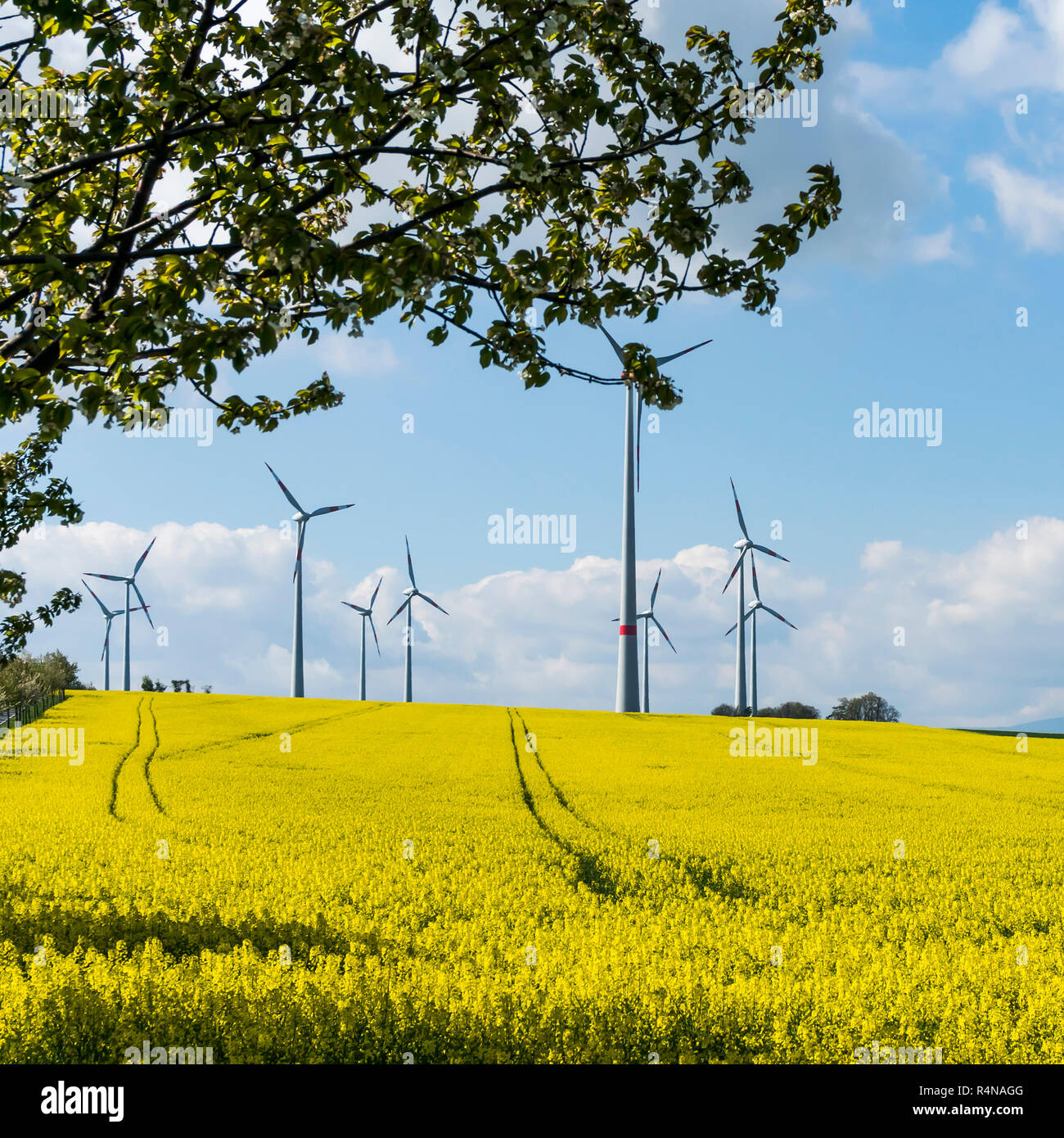extraction of renewable energy Stock Photo - Alamy