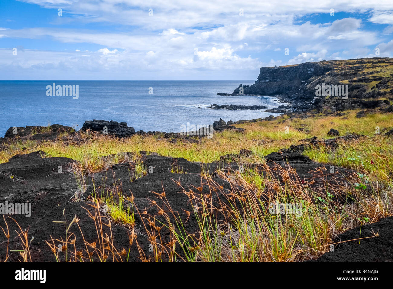 Easter island cliffs and pacific ocean landscape Stock Photo - Alamy