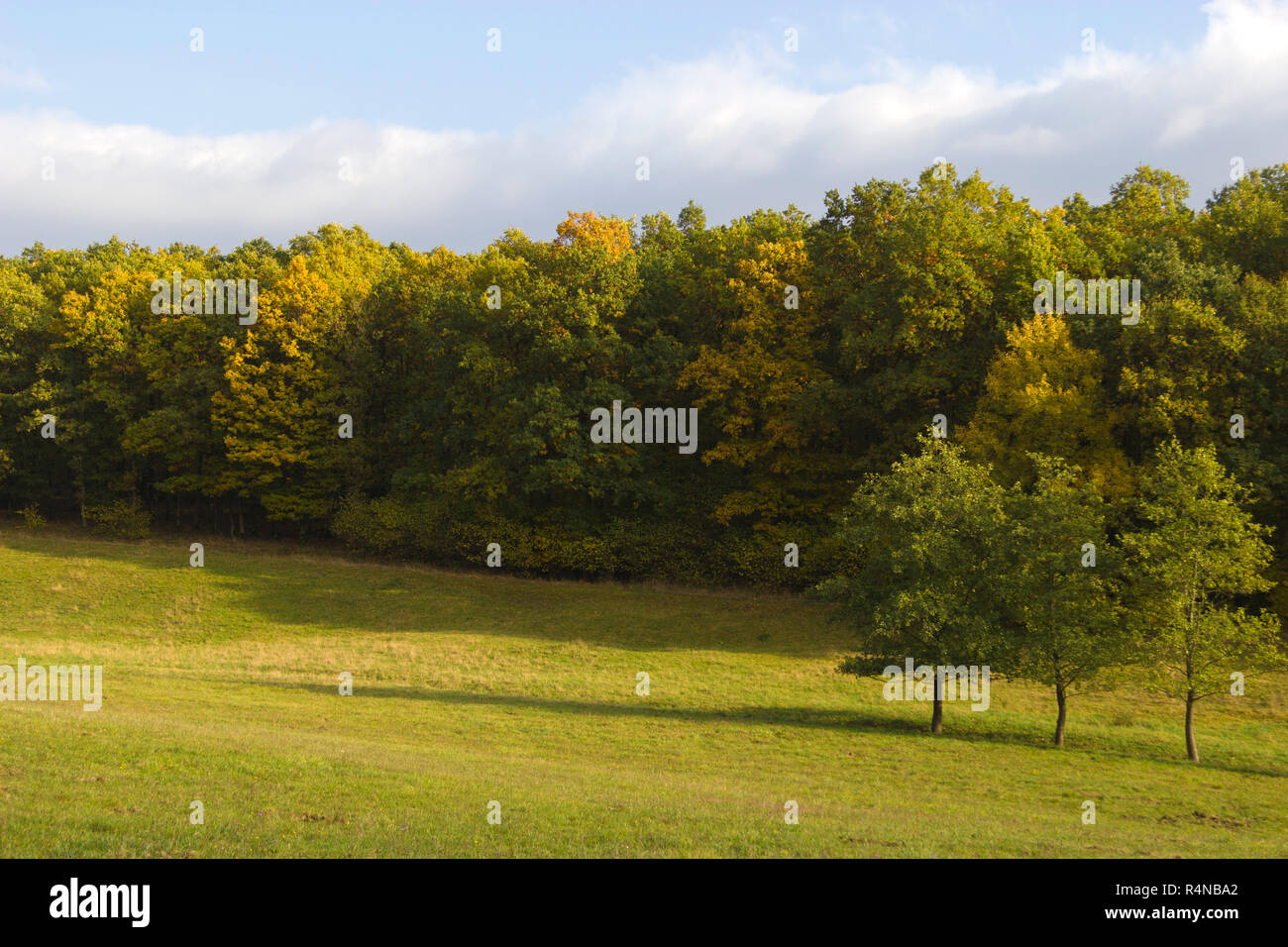 Hesse central hi-res stock photography and images - Alamy