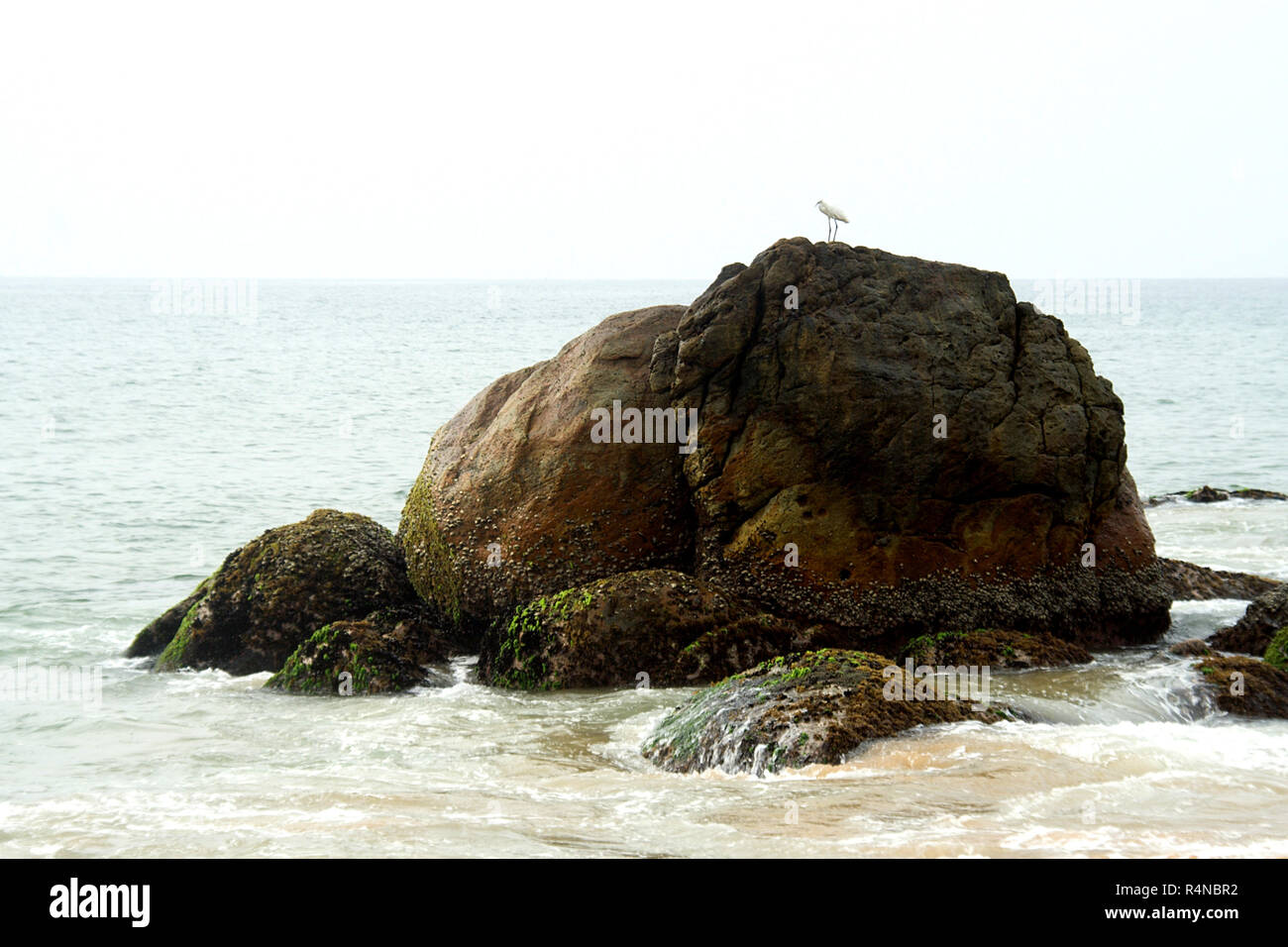 Bird shaped boulder hi-res stock photography and images - Alamy
