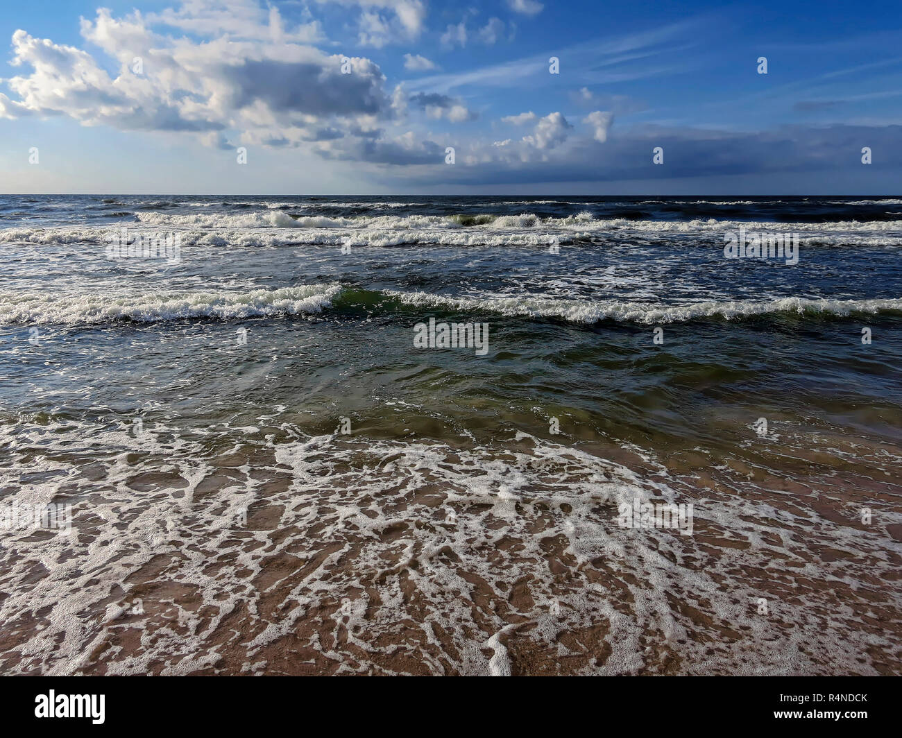 Brackwassermeer hi-res stock photography and images - Alamy
