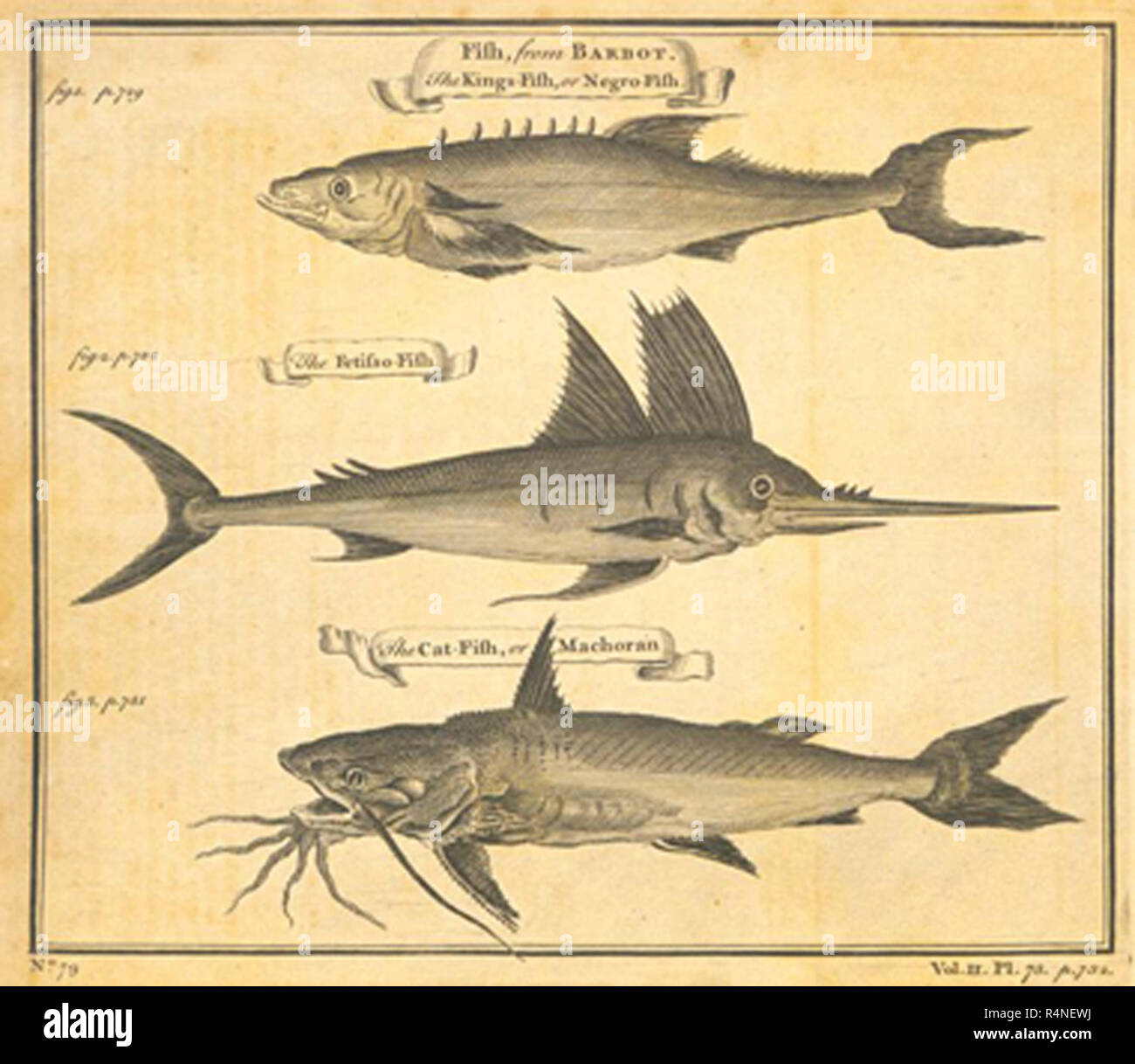 Fish artwork surreal hi-res stock photography and images - Alamy