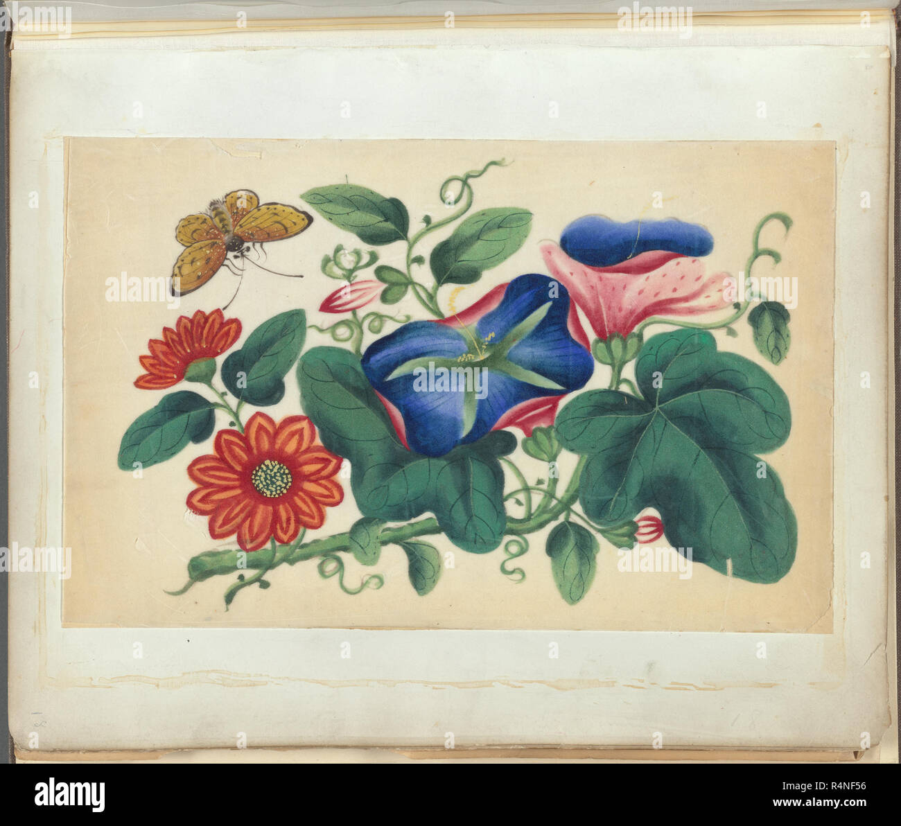 Vintage rose flower logo hi-res stock photography and images - Alamy