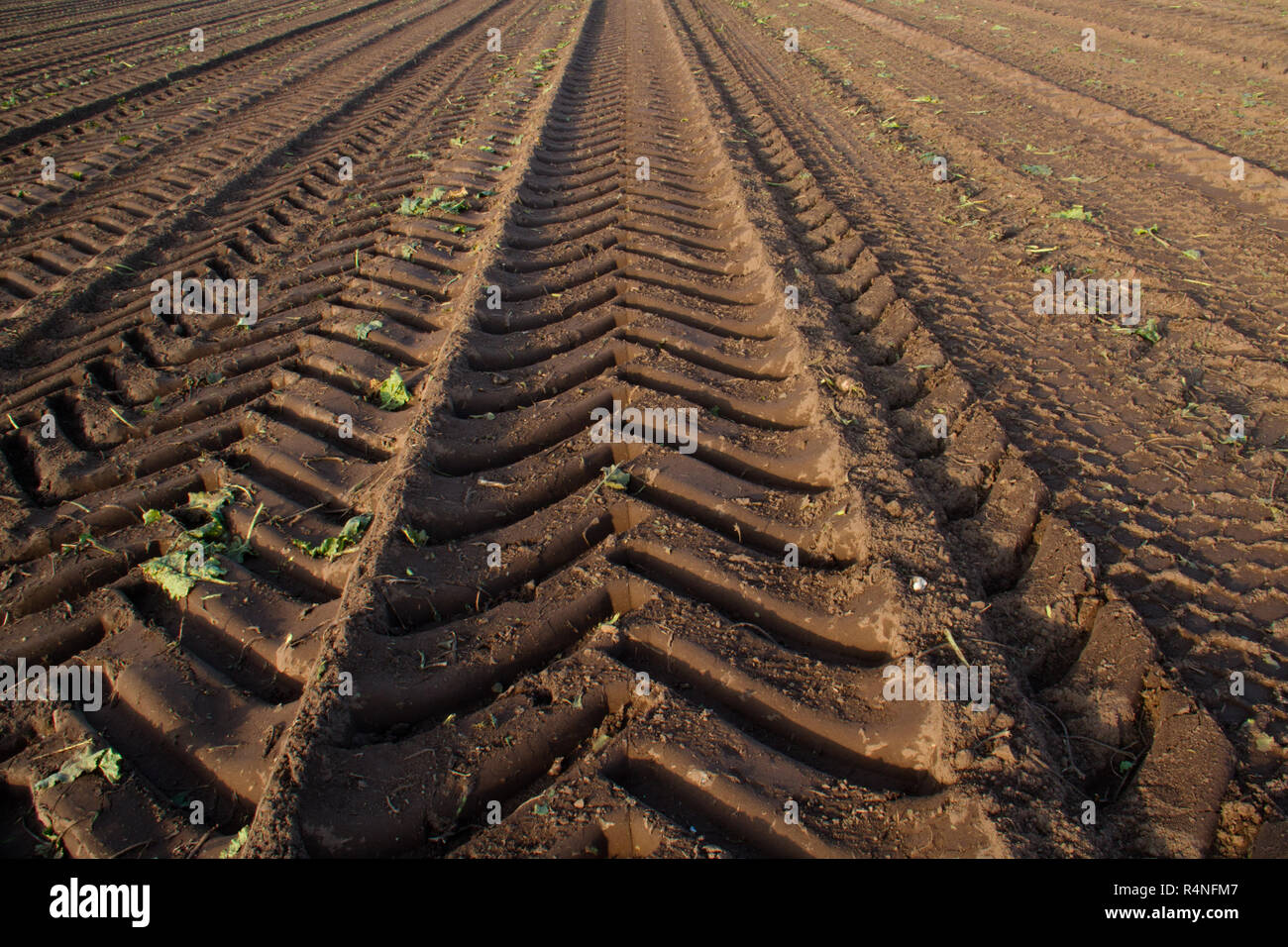 Tyre tracks soil texture hi-res stock photography and images - Alamy