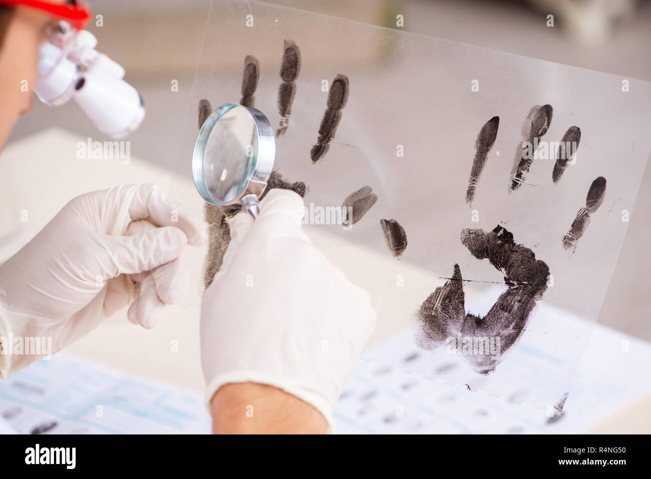 Forensic expert studying fingerprints in the lab Stock Photo - Alamy