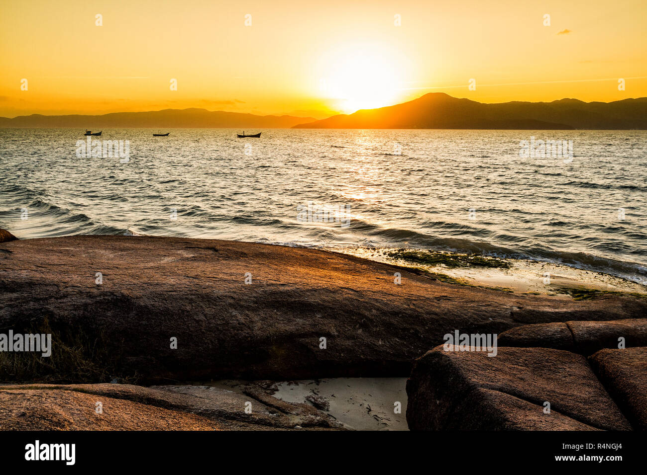 Daniela beach florianopolis hi-res stock photography and images - Alamy