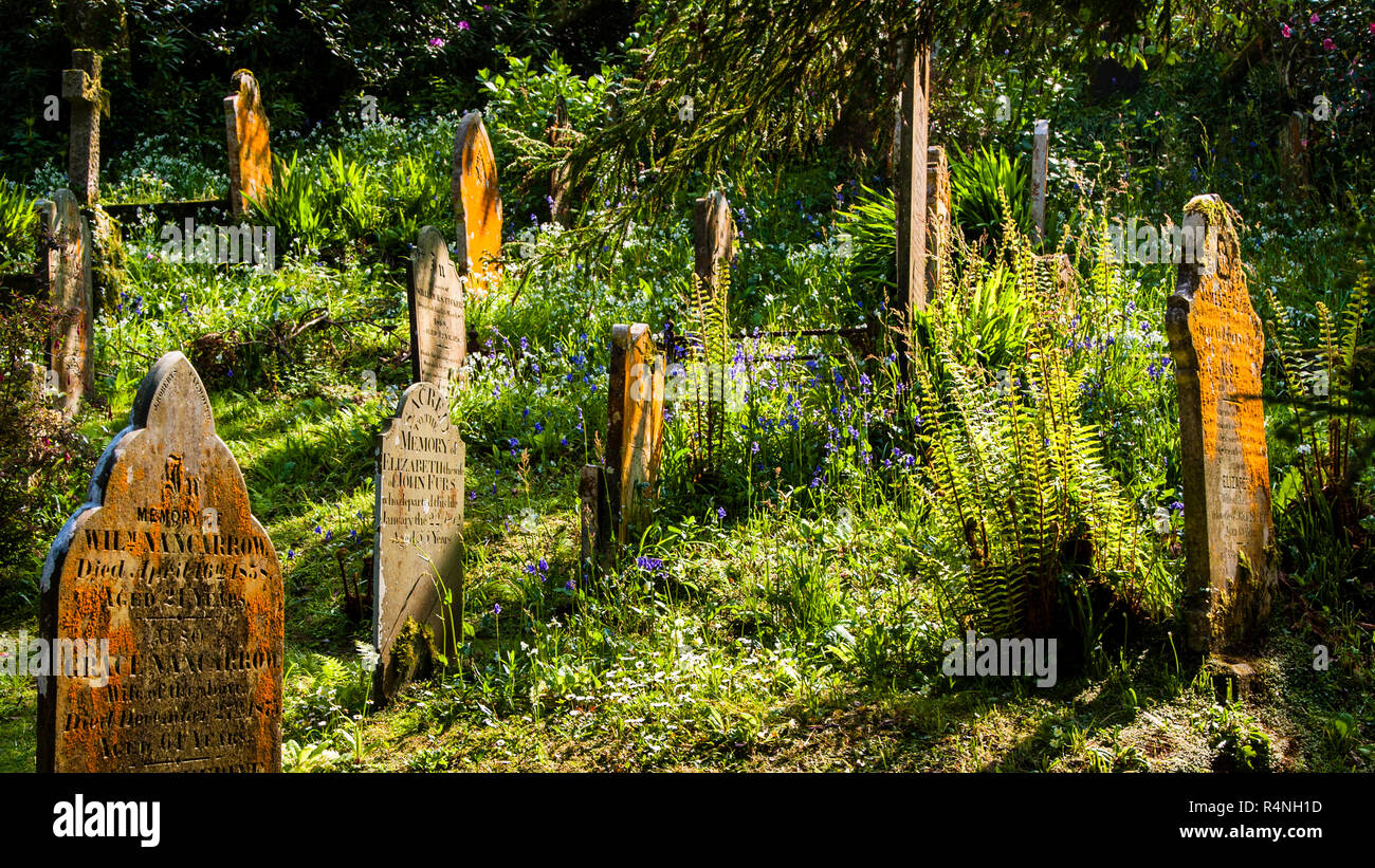 Old growth cemetery hi-res stock photography and images - Alamy