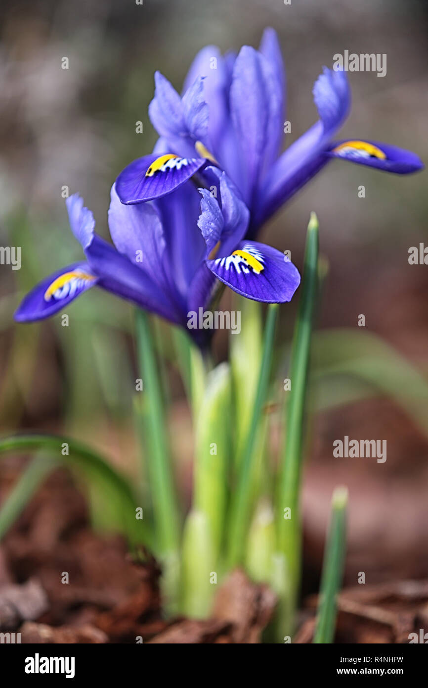 Landscape portrait format hi-res stock photography and images - Alamy