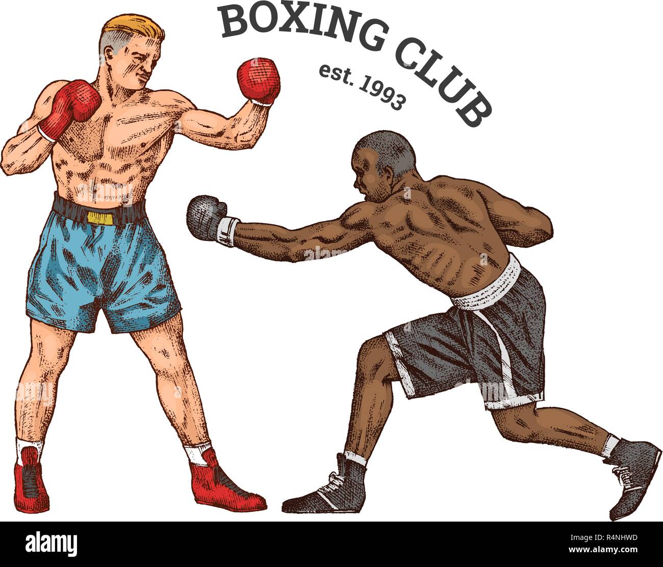Boxer drawing hi-res stock photography and images - Alamy