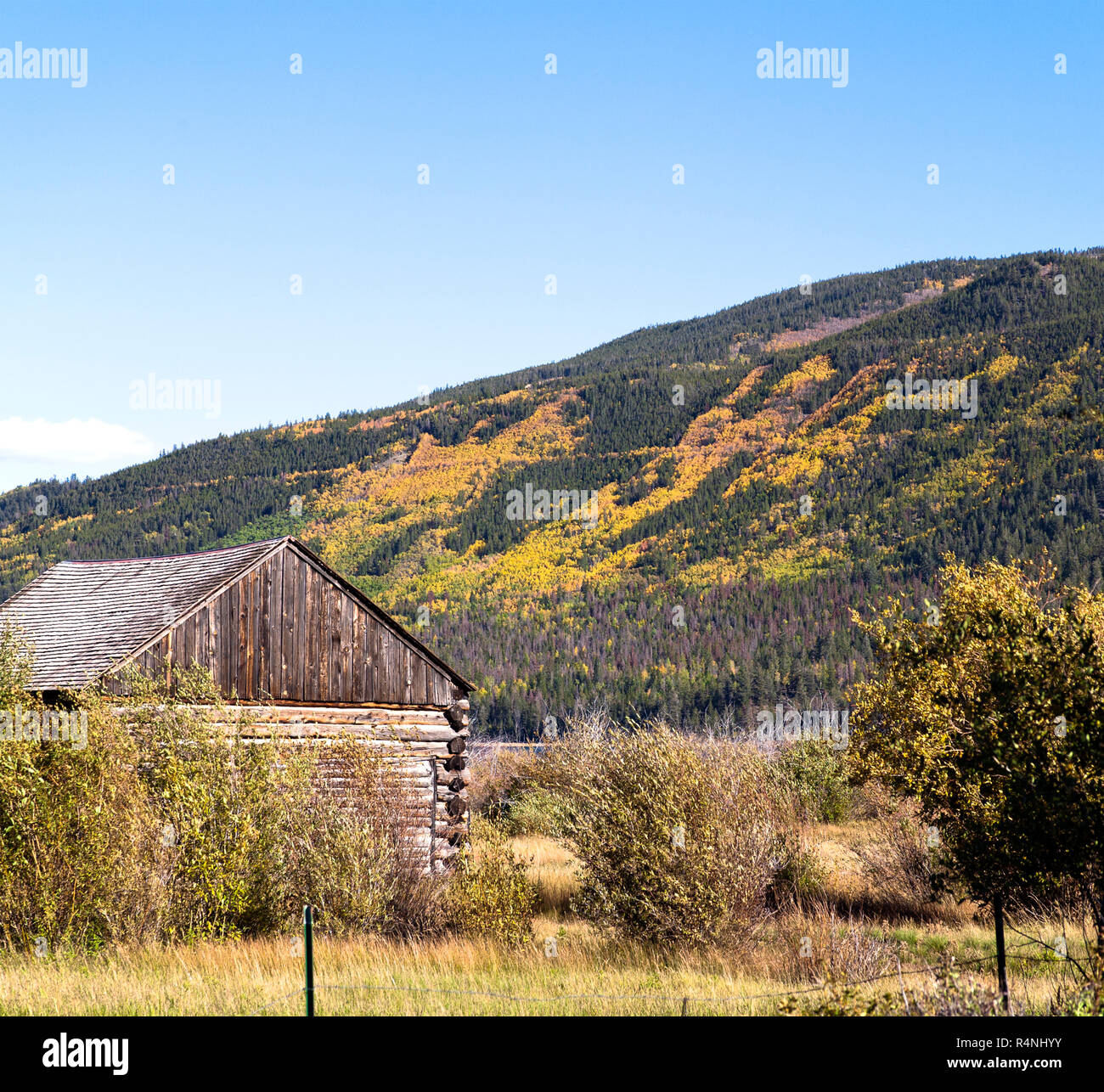 Golden aspens color the flanks of twin lakes hi-res stock photography ...