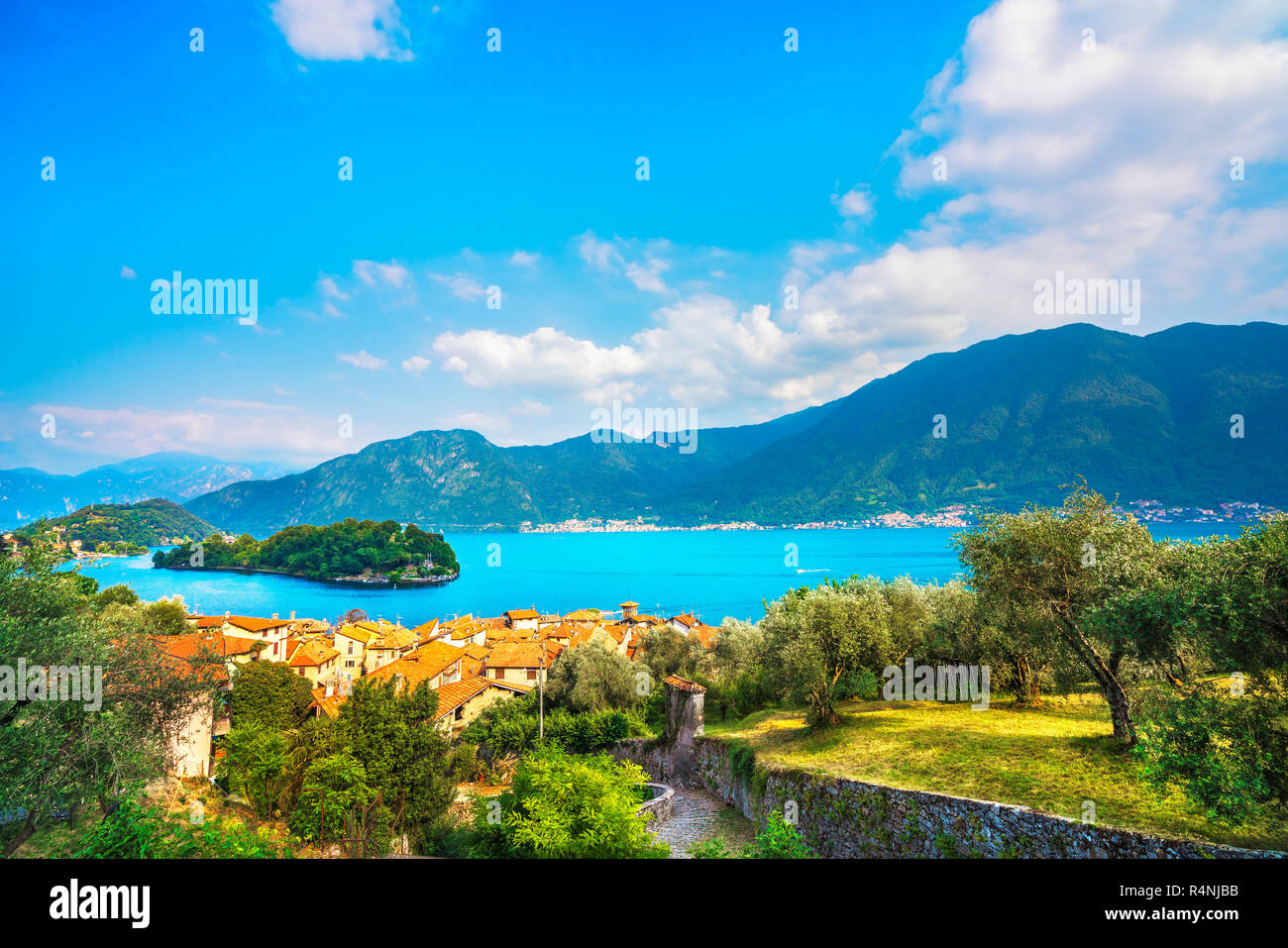 Como Lake, Isola Comacina village, greenway trail and olive trees ...
