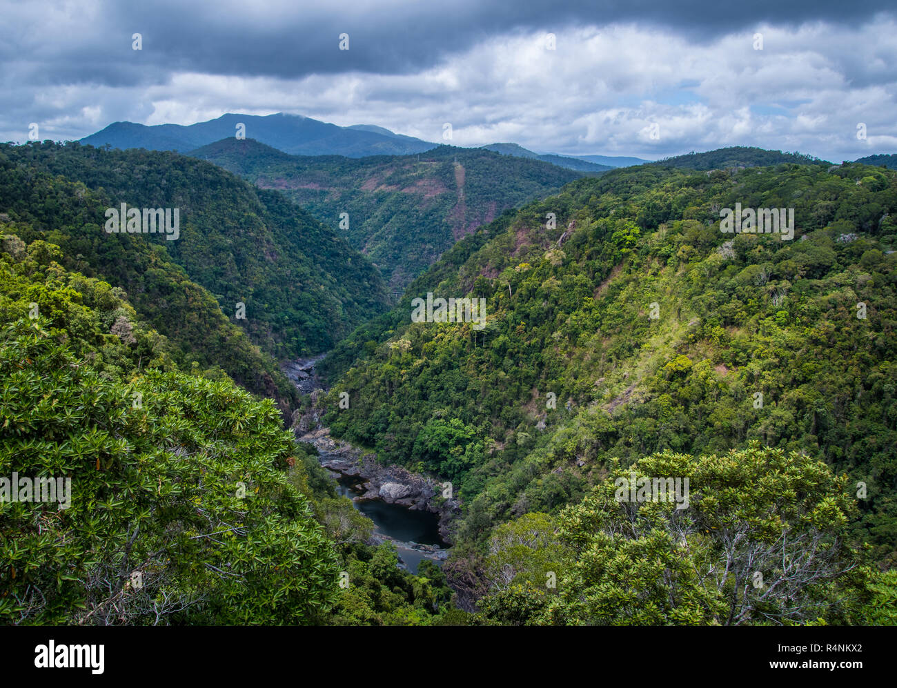 Tropical rainforest lined valley of the Barron Gorge national park in ...