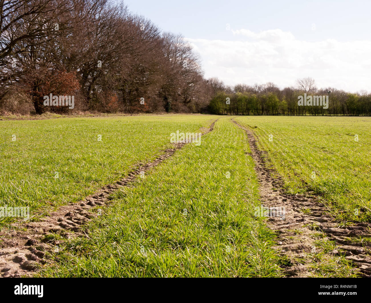 A Farmer's Field at the Start of Spring Stock Photo - Alamy