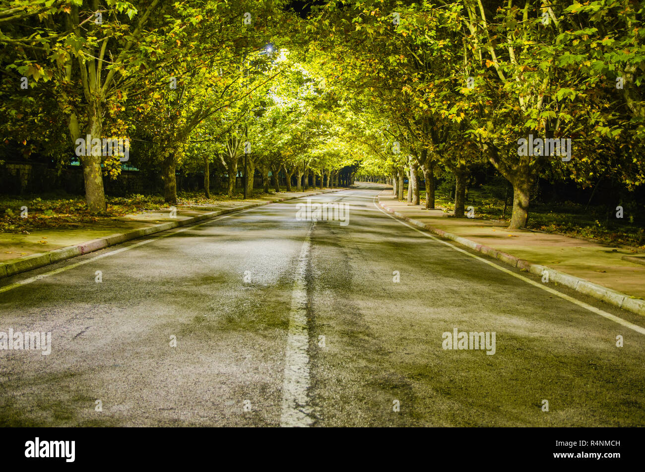 beautiful autumn forest lake in Ifrane, Morocco. autumn leaves fall ...