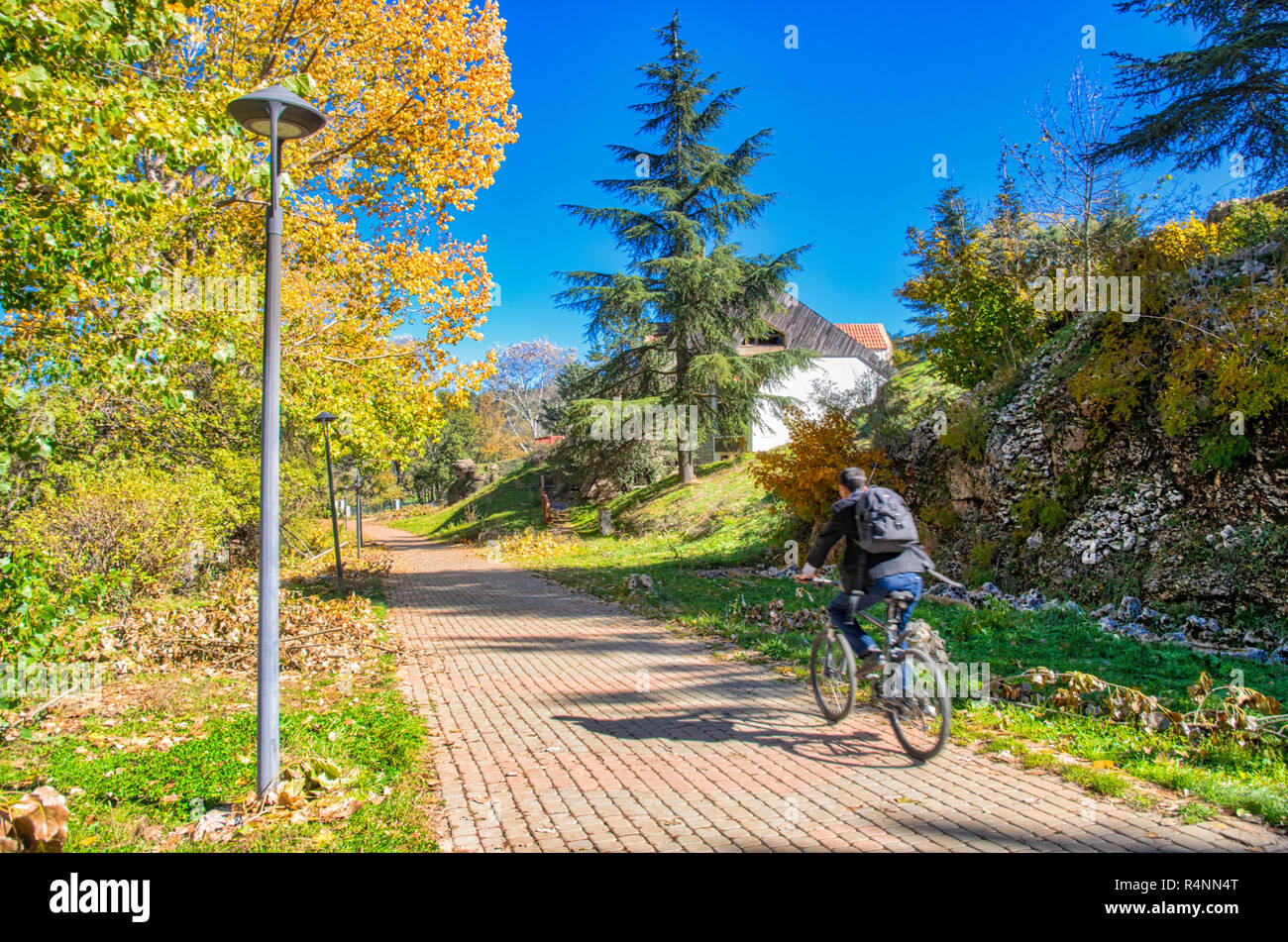 beautiful autumn forest lake in Ifrane, Morocco. autumn leaves fall ...